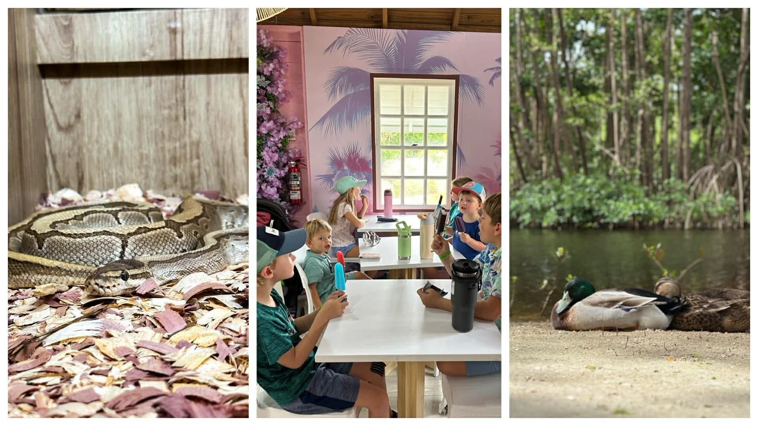 The Best Things to do in Barbados with Kids — Big Brave Nomad