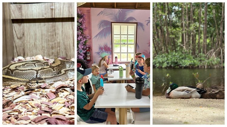 The Best Things to do in Barbados with Kids — Big Brave Nomad