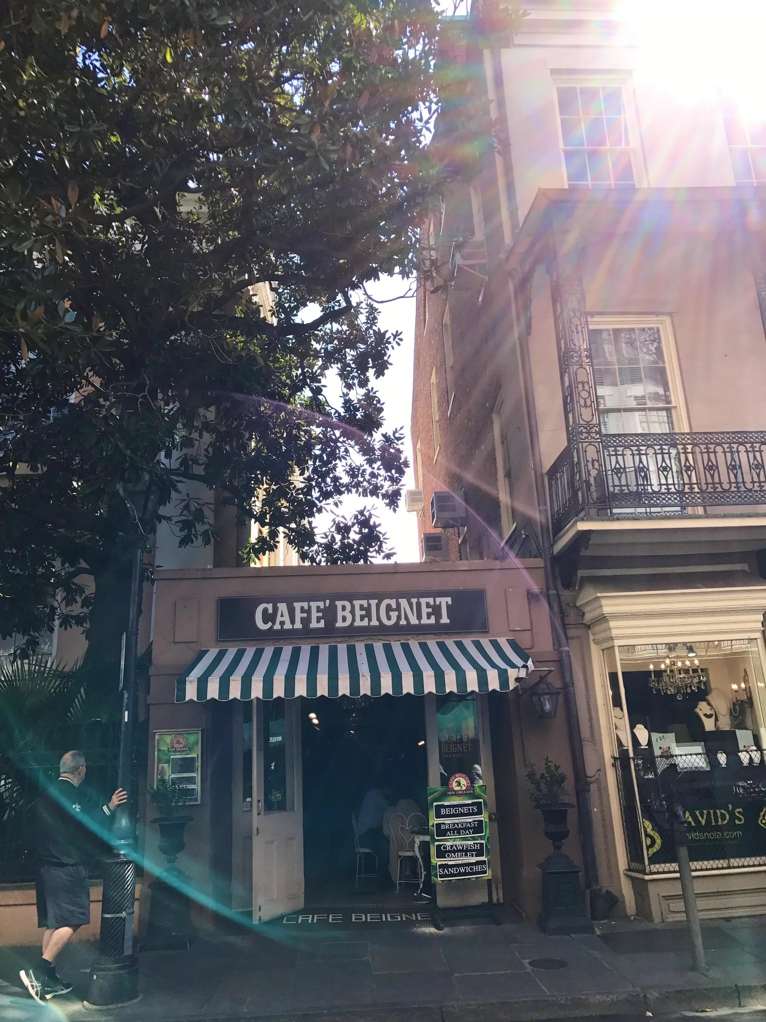The Best of New Orleans with Kids — Big Brave Nomad