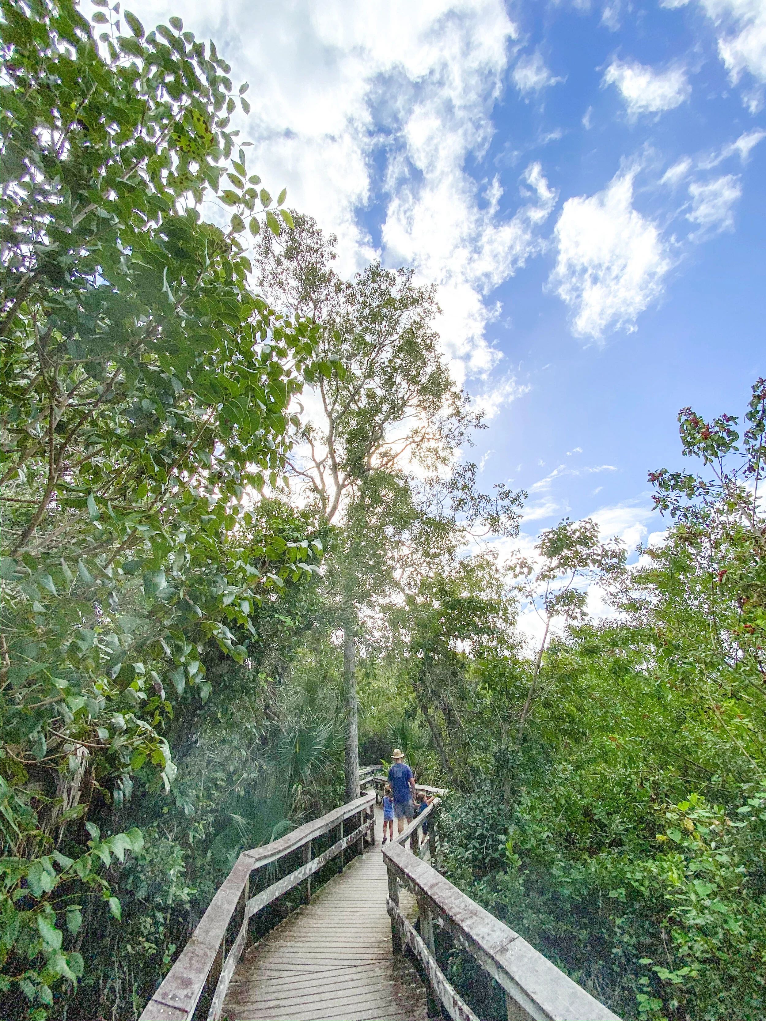 The Best of Everglades National Park with Kids — Big Brave Nomad
