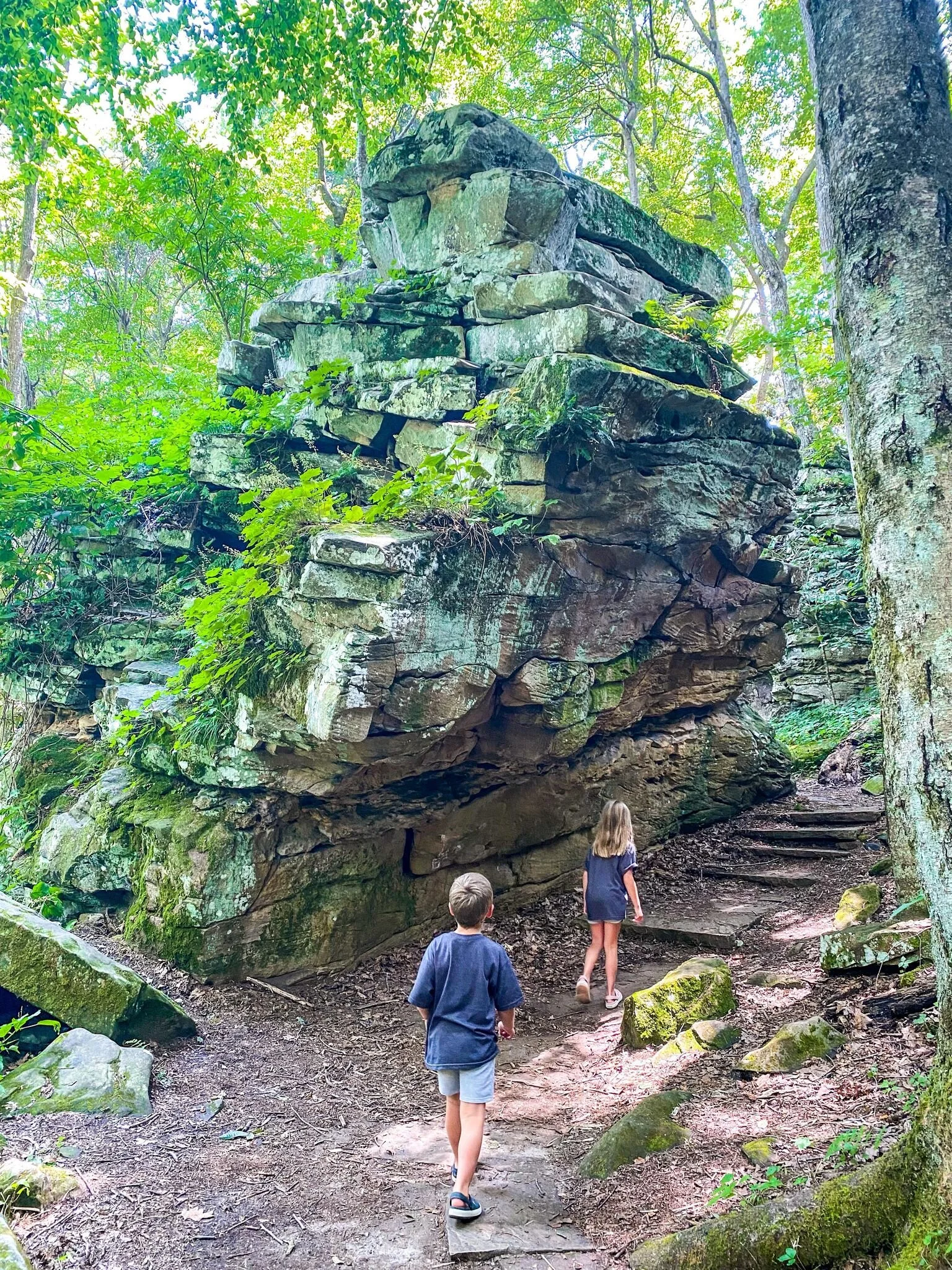 What to do in New River Gorge National Park with Kids — Big Brave Nomad
