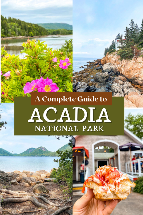 What to do in Acadia National Park with Kids — Big Brave Nomad