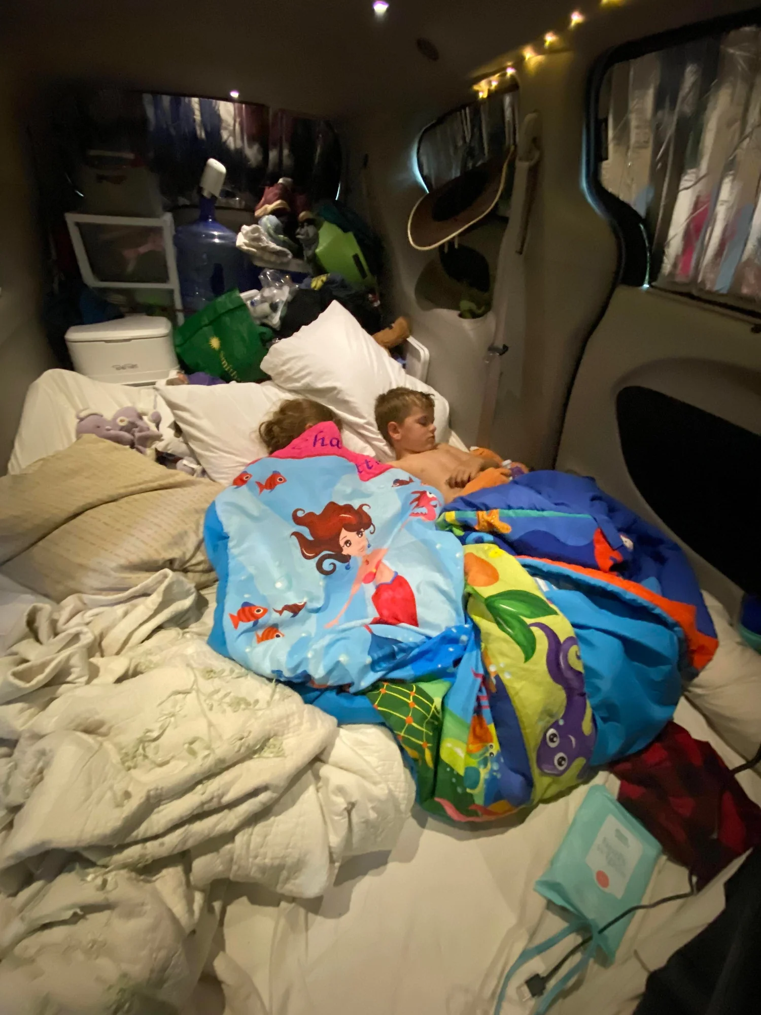 15 Must Have for a No Build Minivan Camper — Big Brave Nomad