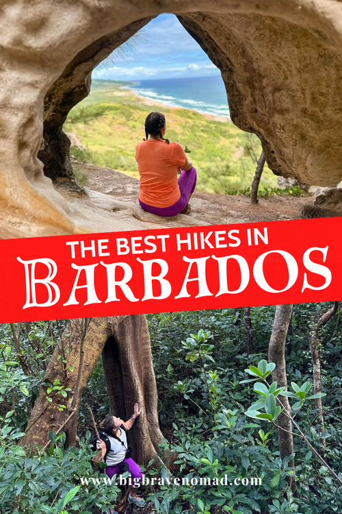 The Best Hikes in Barbados - 2026 — Big Brave Nomad