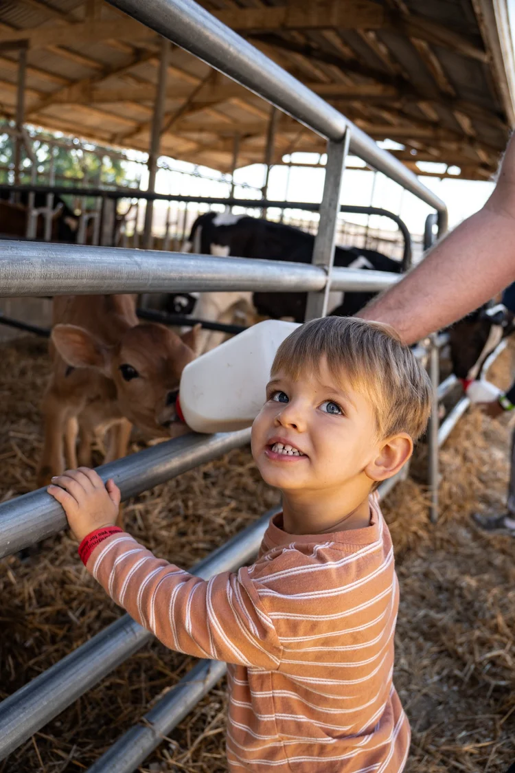 The Perfect Weekend in Lancaster, Pennsylvania - Amish Country — Big ...