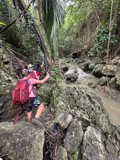 The Best Hikes in Barbados - 2026 — Big Brave Nomad