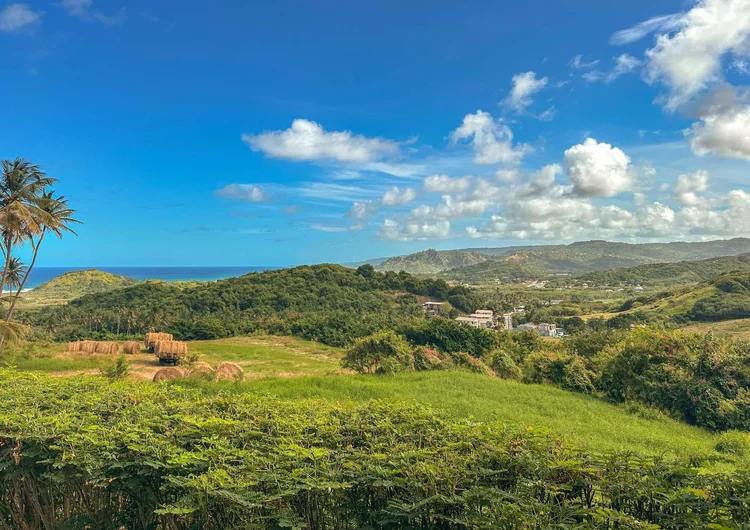 The Best Things to do in Barbados with Kids — Big Brave Nomad
