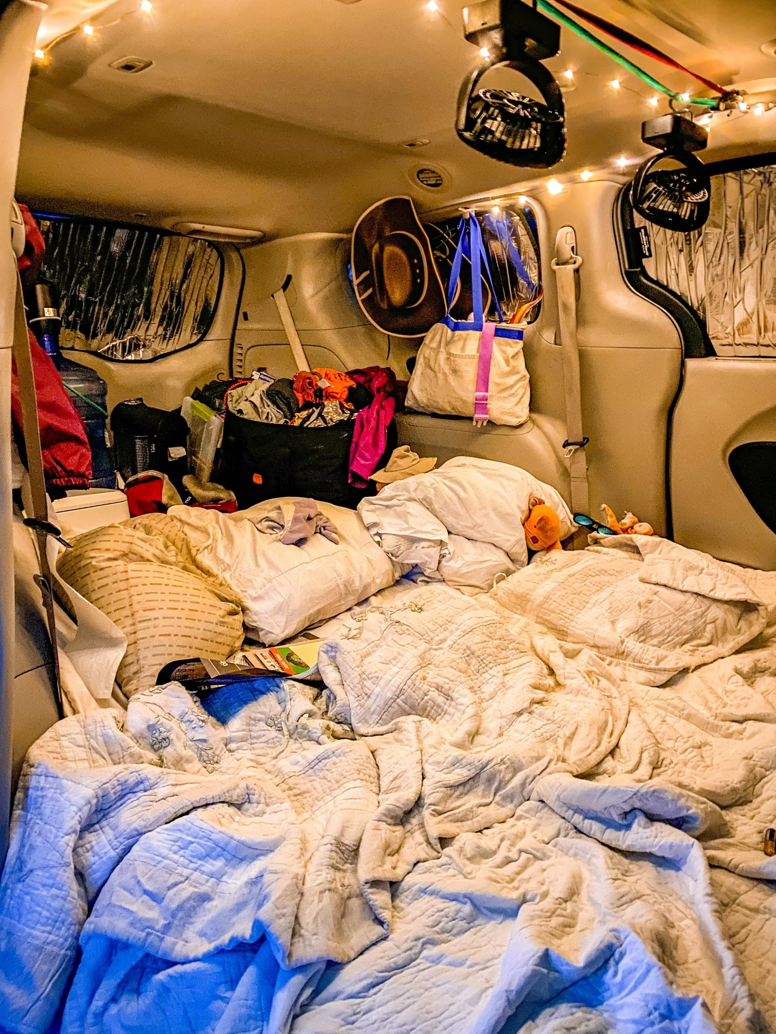 15 Must Have for a No Build Minivan Camper — Big Brave Nomad