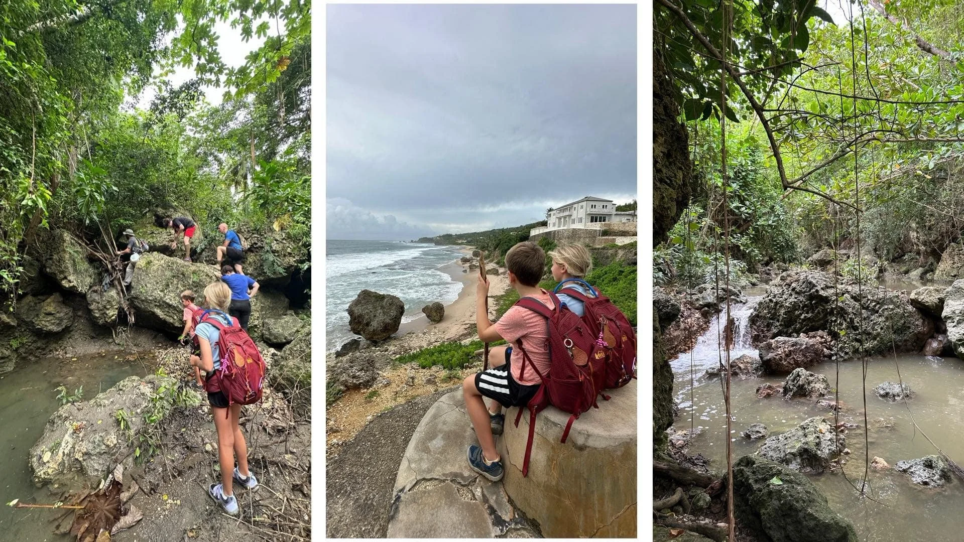 The Best Hikes in Barbados - 2026 — Big Brave Nomad