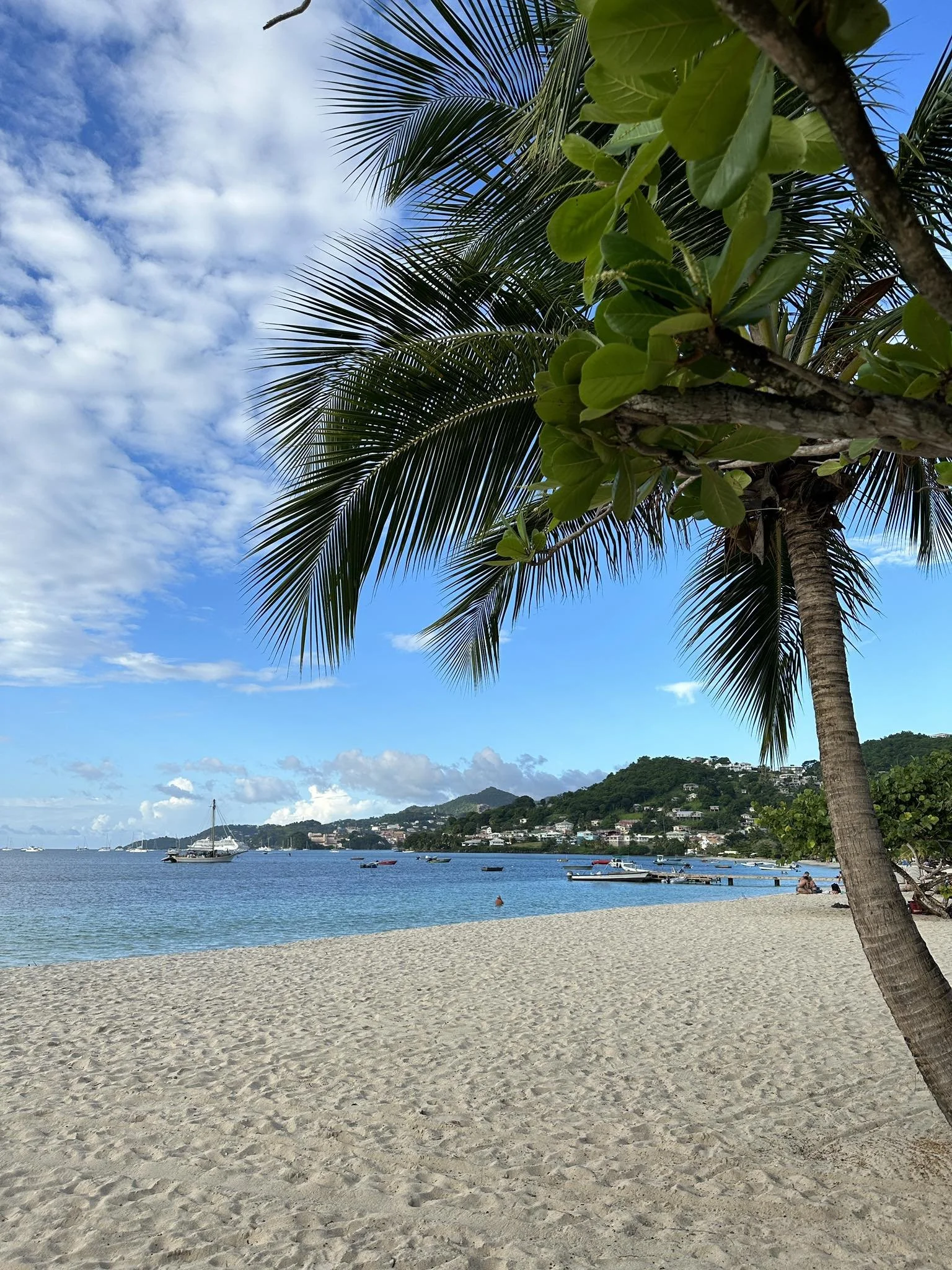 The Best Things to do in Grenada with Kids — Big Brave Nomad