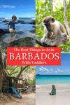 The Best Things to do in Barbados with Toddlers — Big Brave Nomad