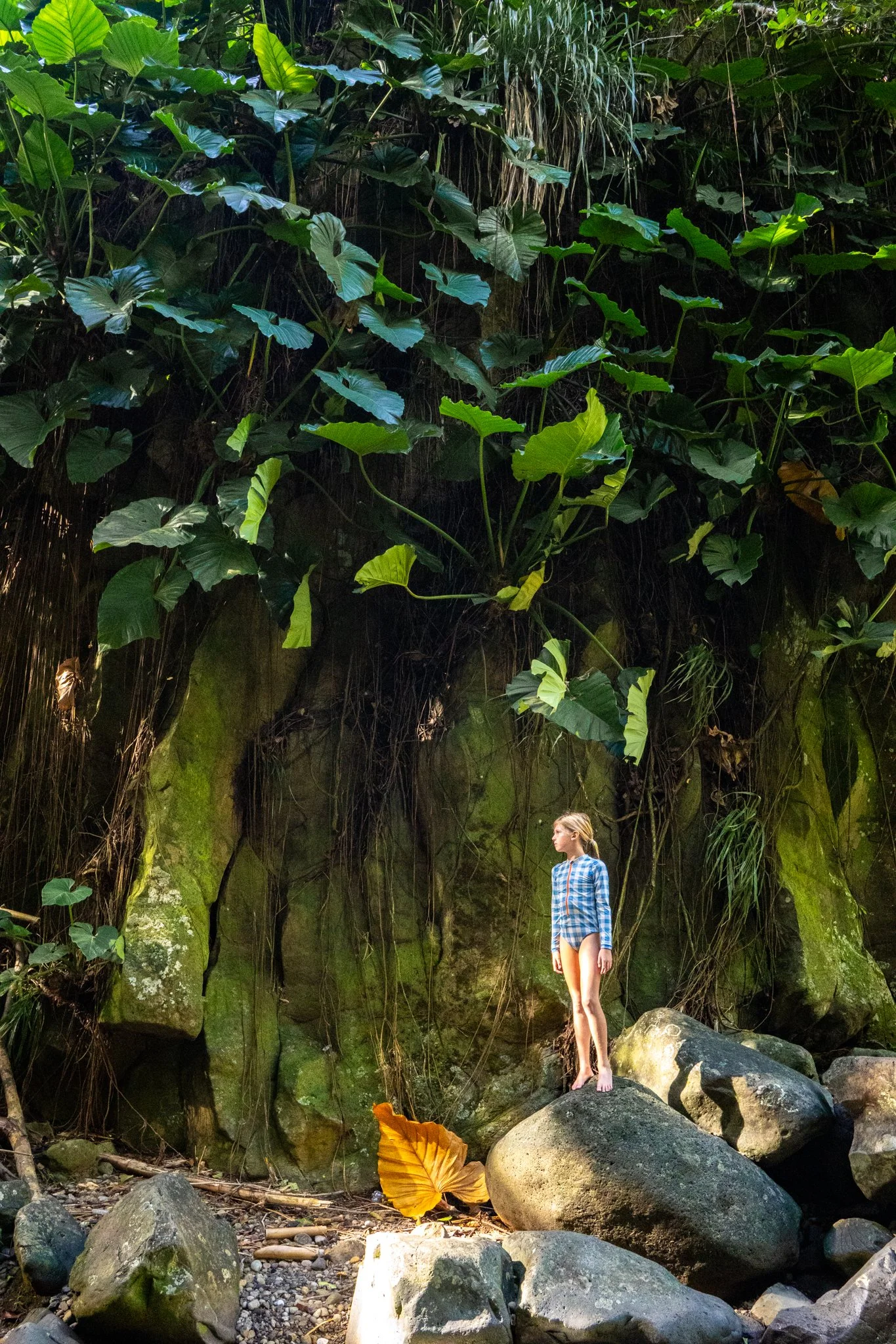 The Best Things to do in Grenada with Kids — Big Brave Nomad
