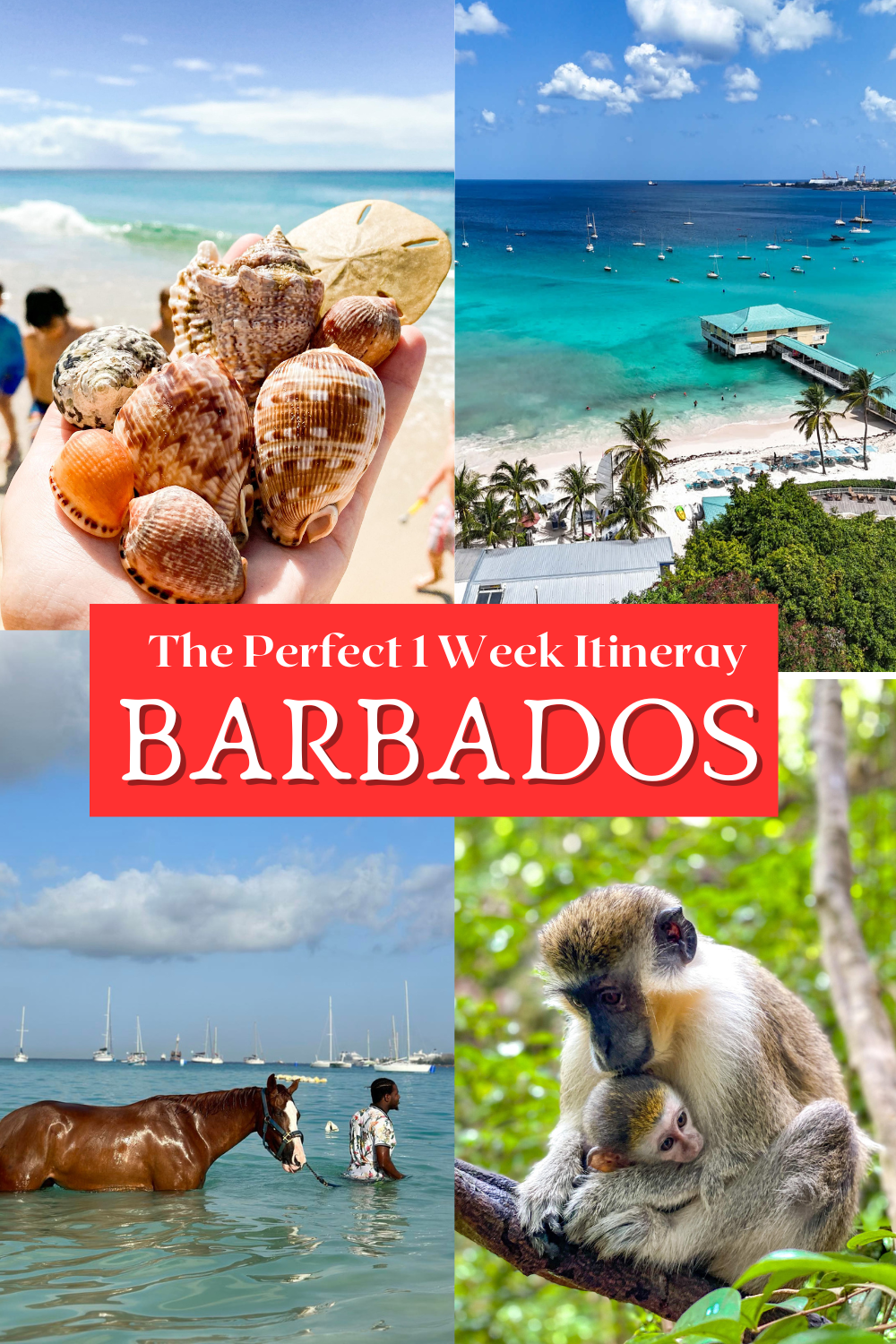 The Best One Week Itinerary for Barbados — Big Brave Nomad