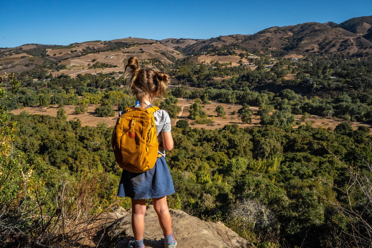 The Best Hikes Near Monterey California — Big Brave Nomad