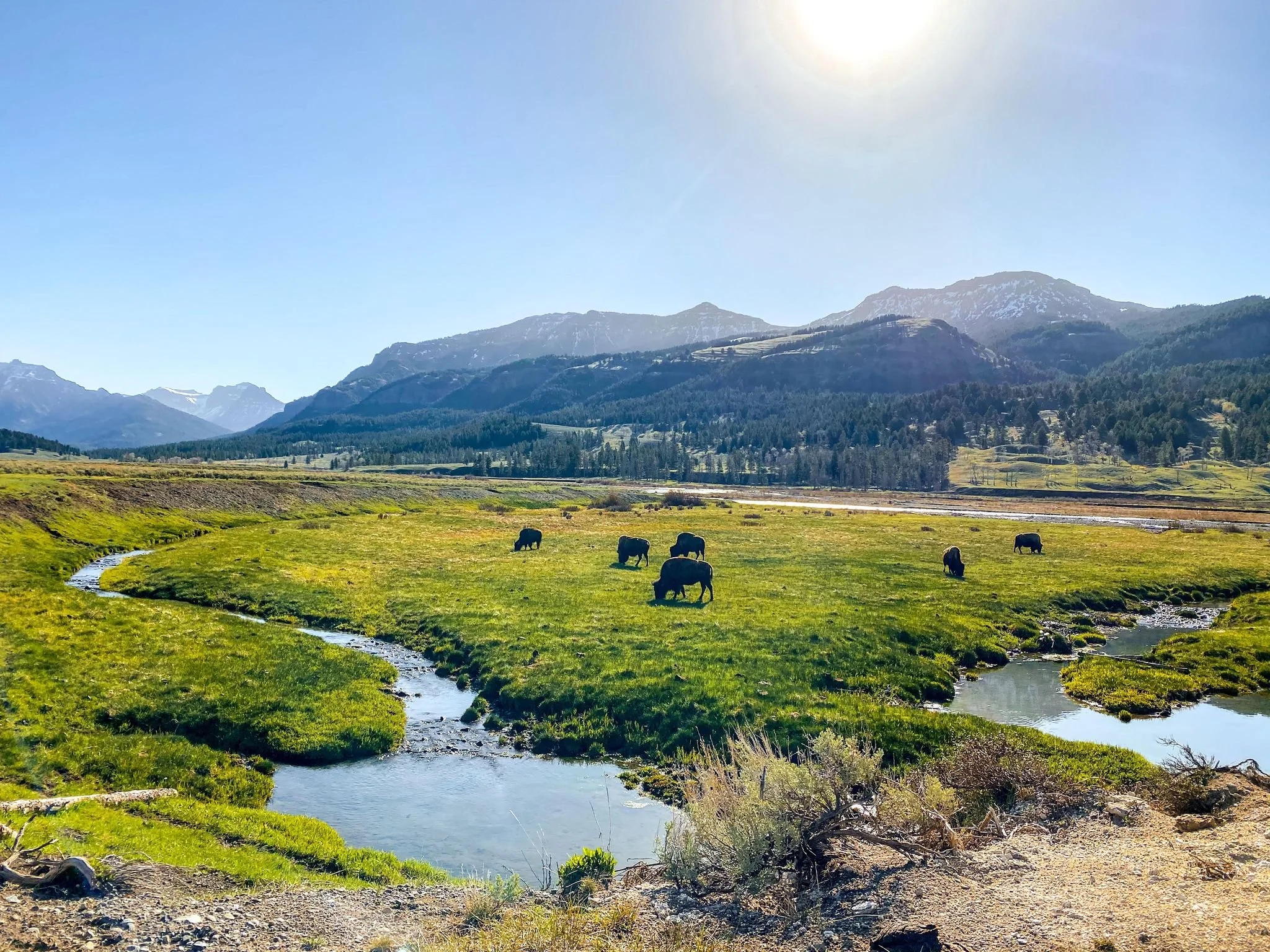 The Perfect 4 Day Itinerary for Yellowstone National Park — Big Brave Nomad