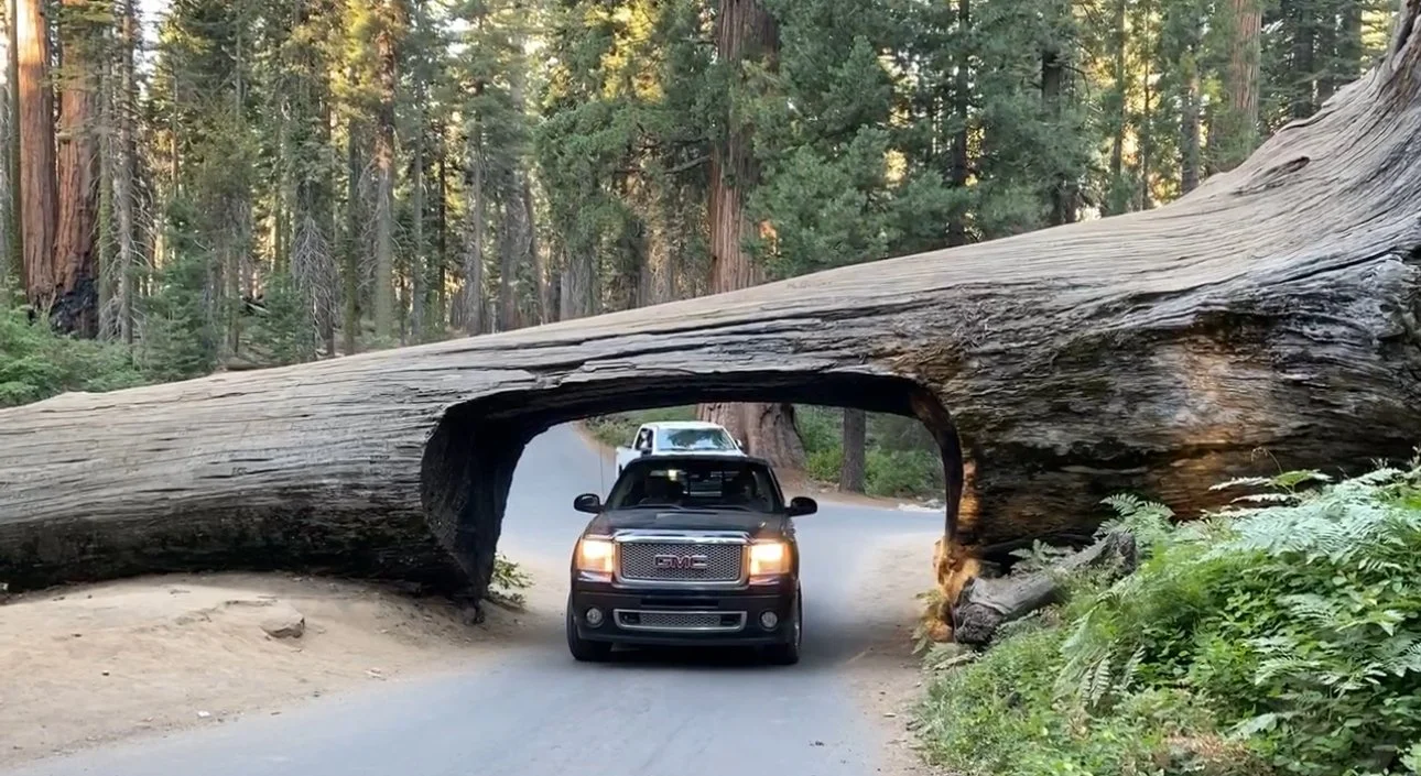 Two Day Itinerary for Sequoia and Kings Canyon National Park — Big ...