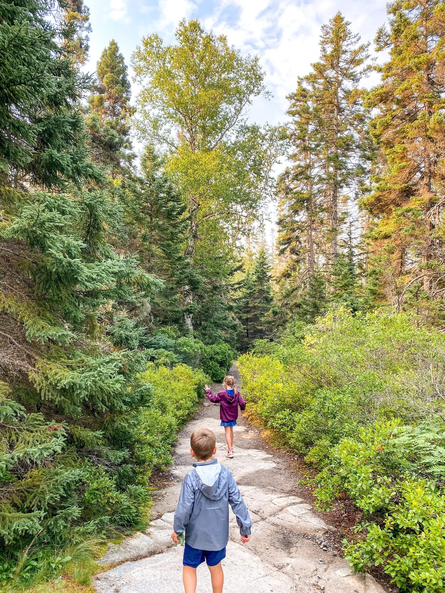 What to do in Acadia National Park with Kids — Big Brave Nomad