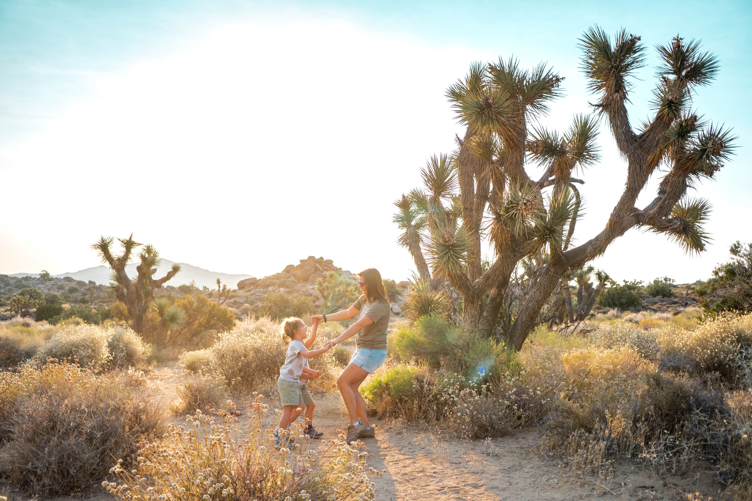 What to do in 29 Palms — Big Brave Nomad