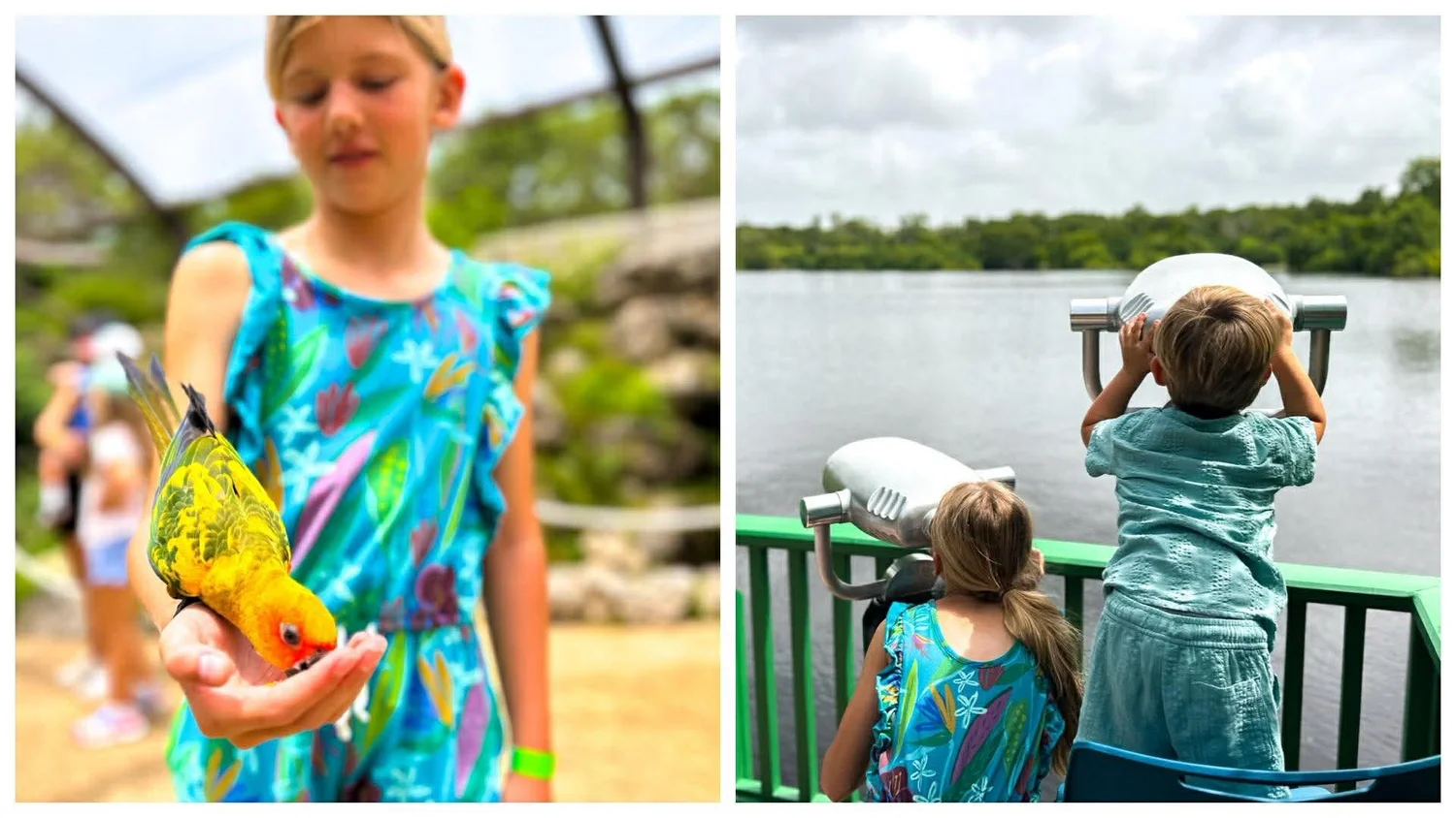 The Best Things to do in Barbados with Kids — Big Brave Nomad