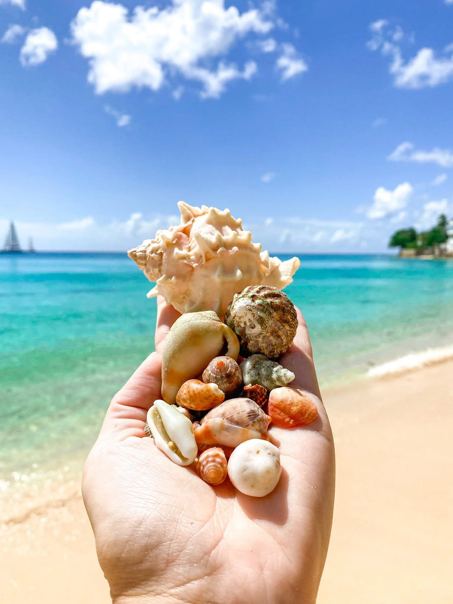 The Best FREE Things to do in Barbados — Big Brave Nomad