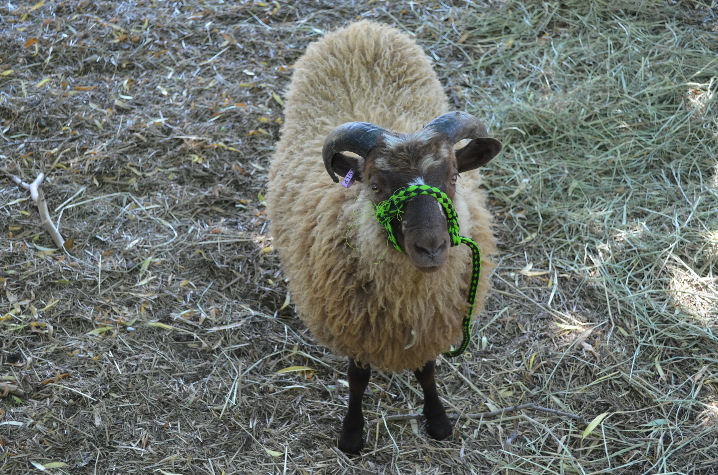 Information — Trinity Farm