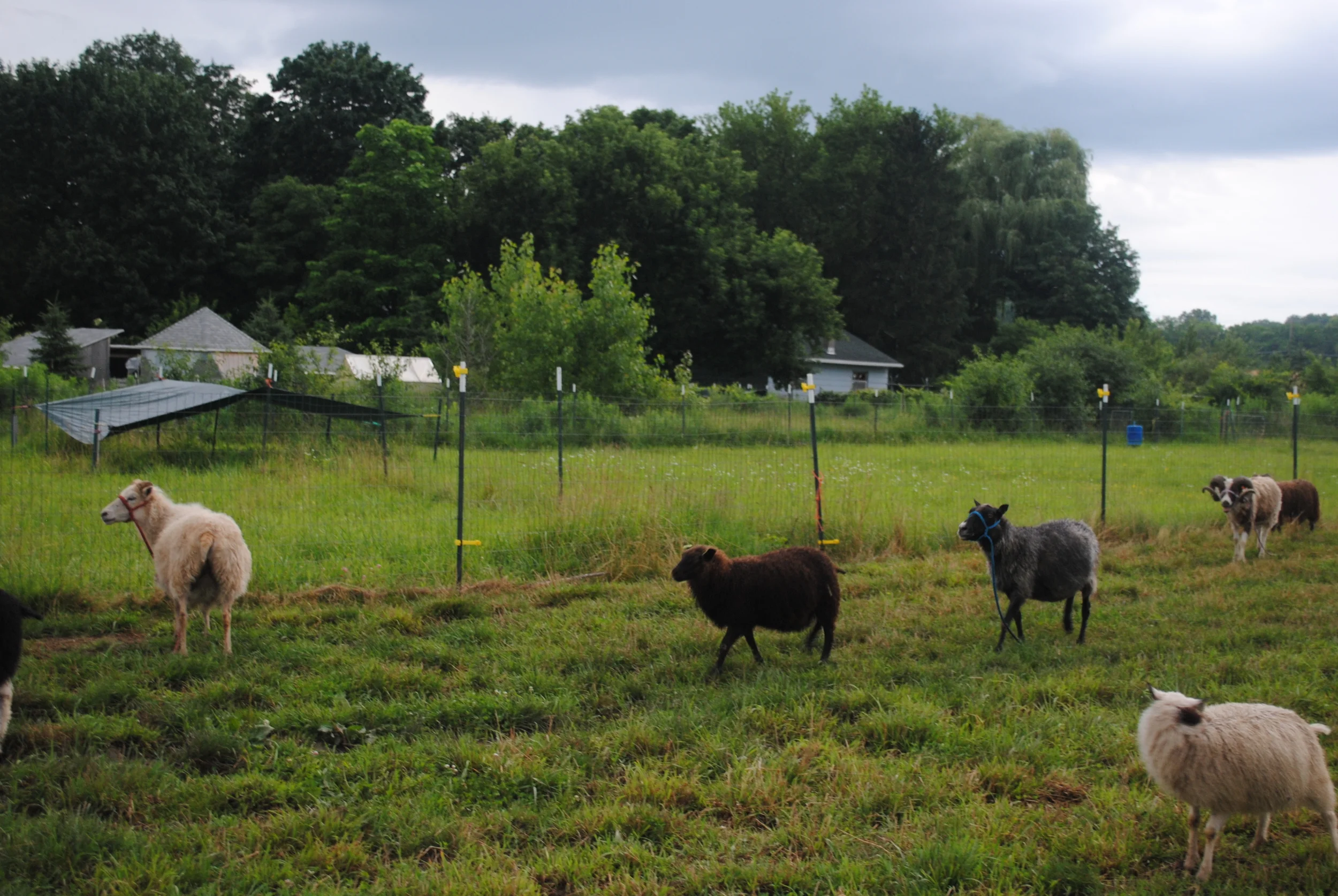 Gallery — Trinity Farm