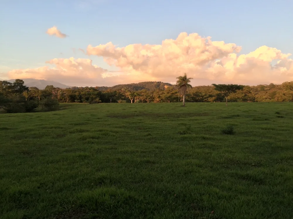 Regenerative Agriculture Farming — Hacienda Las Imagenes - Costa Rica