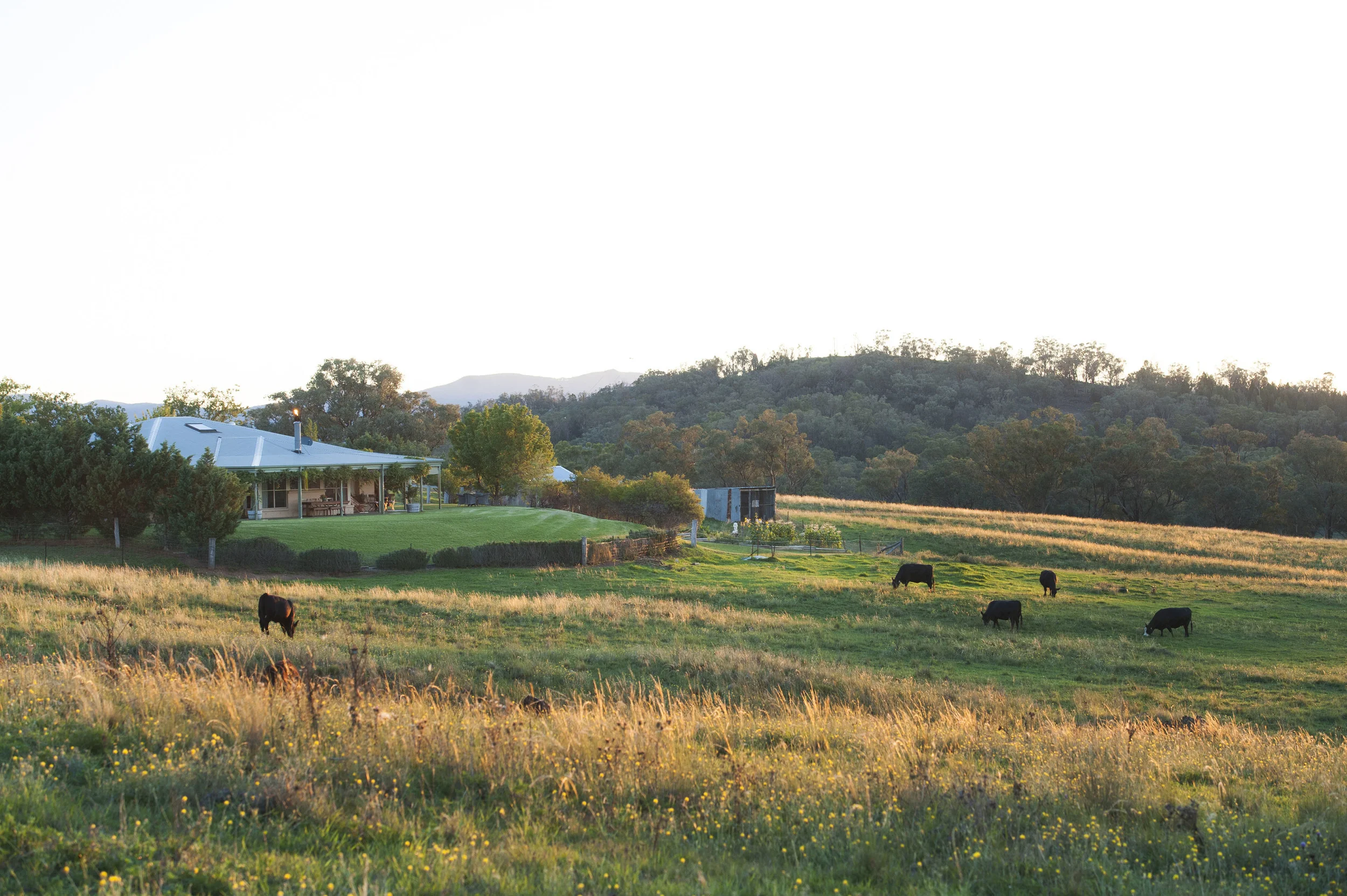 Rosby Wines & Guesthouse