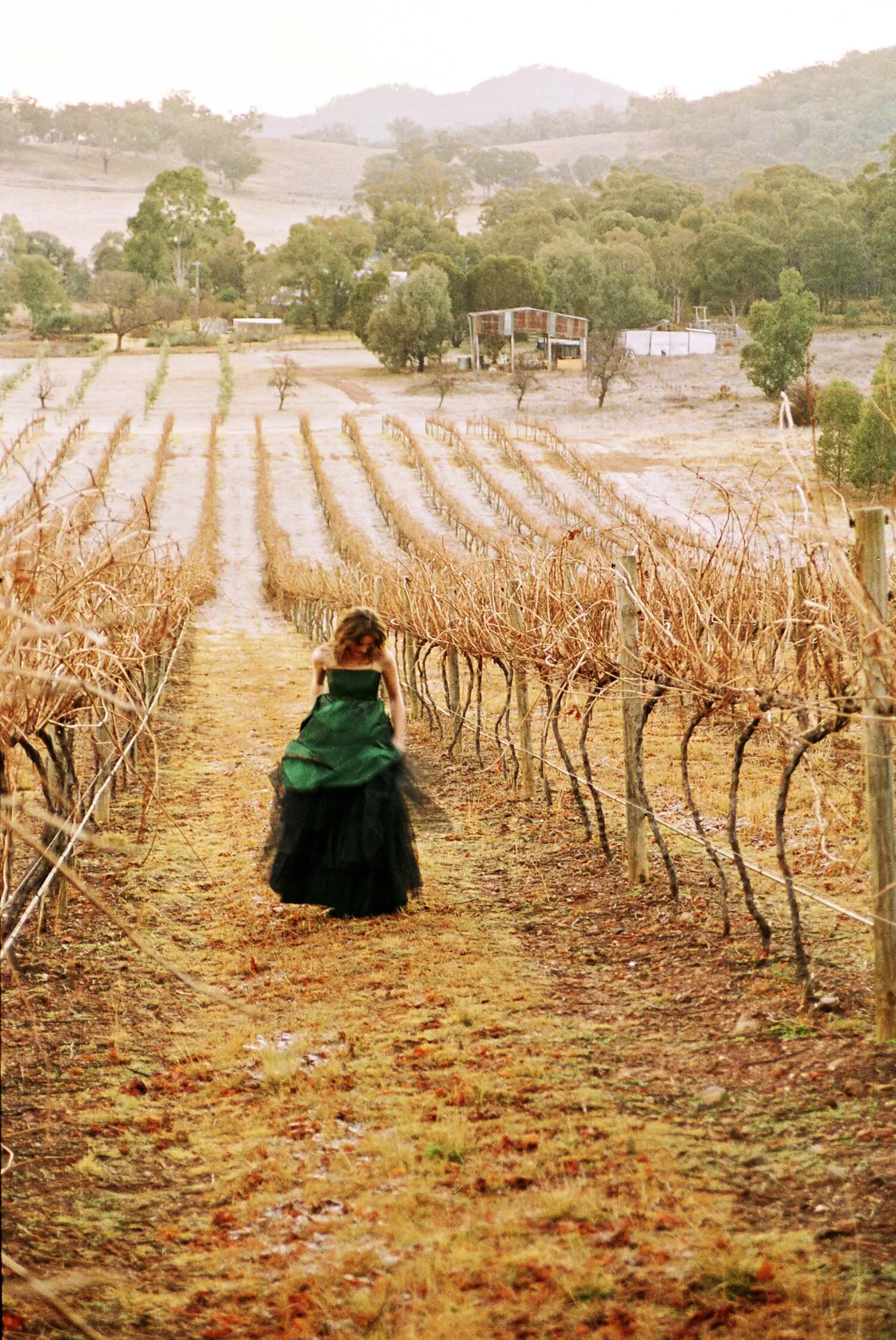 Rosby Wines & Guesthouse