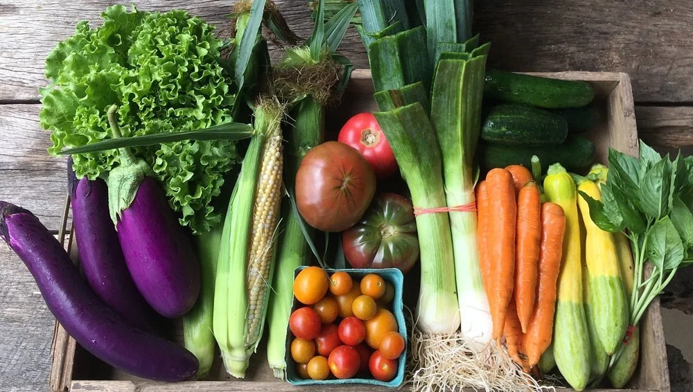 Find a CSA | — Richland Park Farmers Market