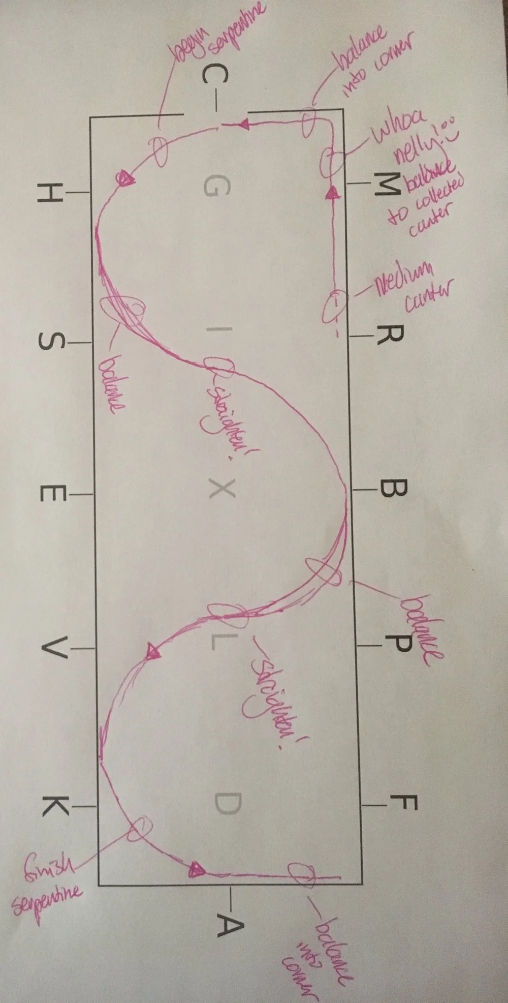 GUEST POST: Acing my Dressage Test: Cognitive Psychology at the Barn ...