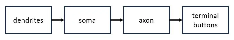 Notetaking Formats — The Learning Scientists