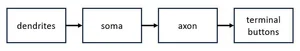 Notetaking Formats — The Learning Scientists