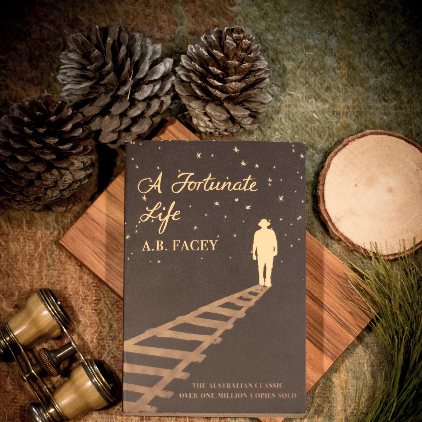 A Fortunate Life Case Study — Holly Dunn Design