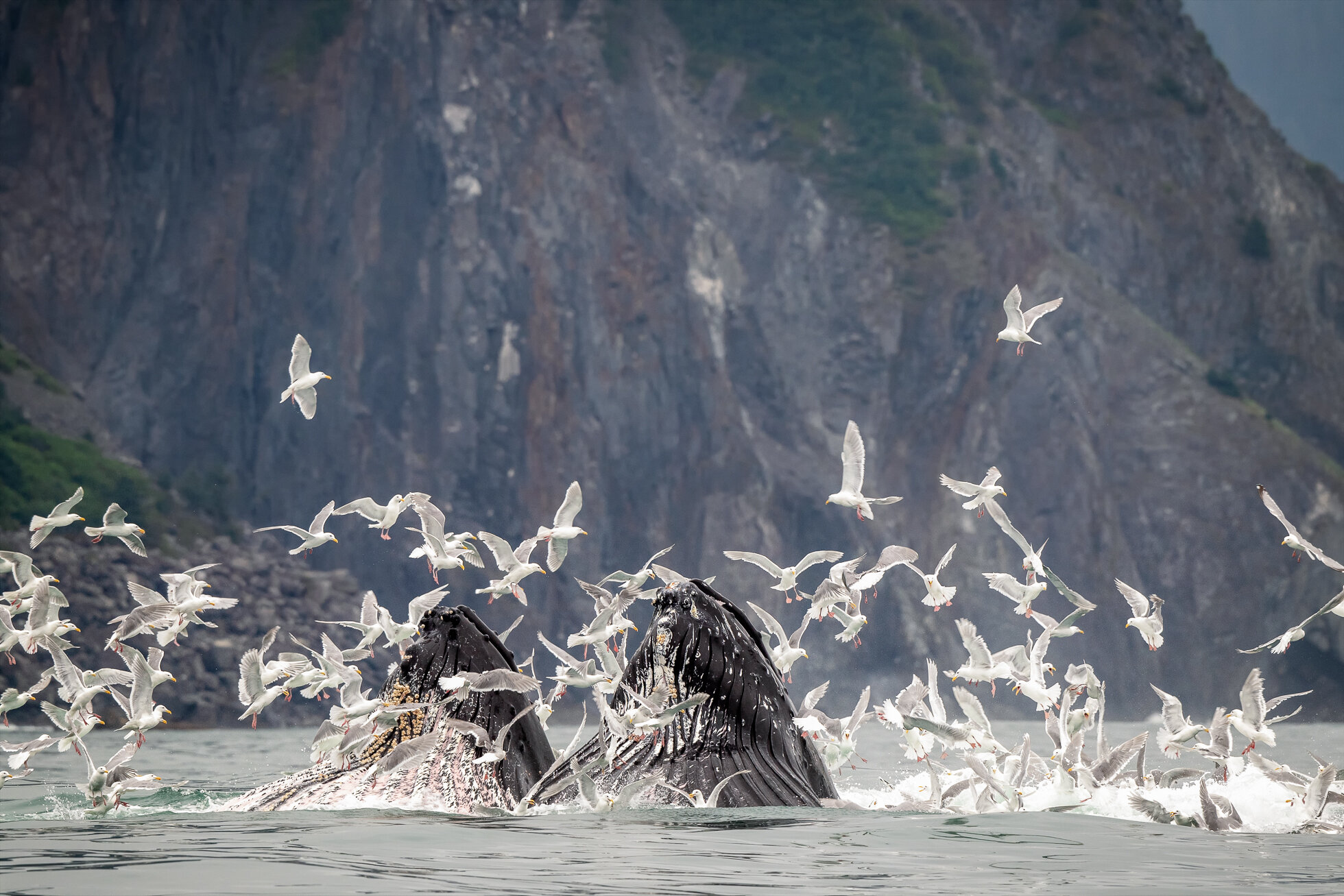 Amy Ames Photography