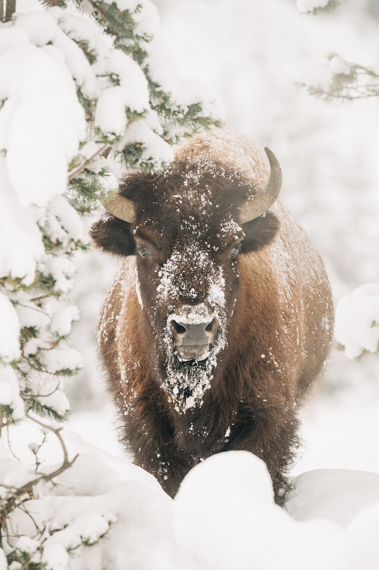 Amy Ames Photography