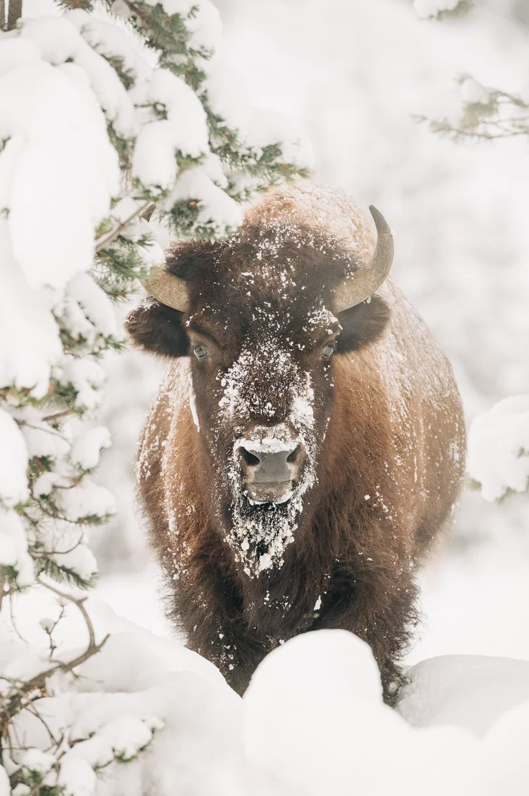 Amy Ames Photography