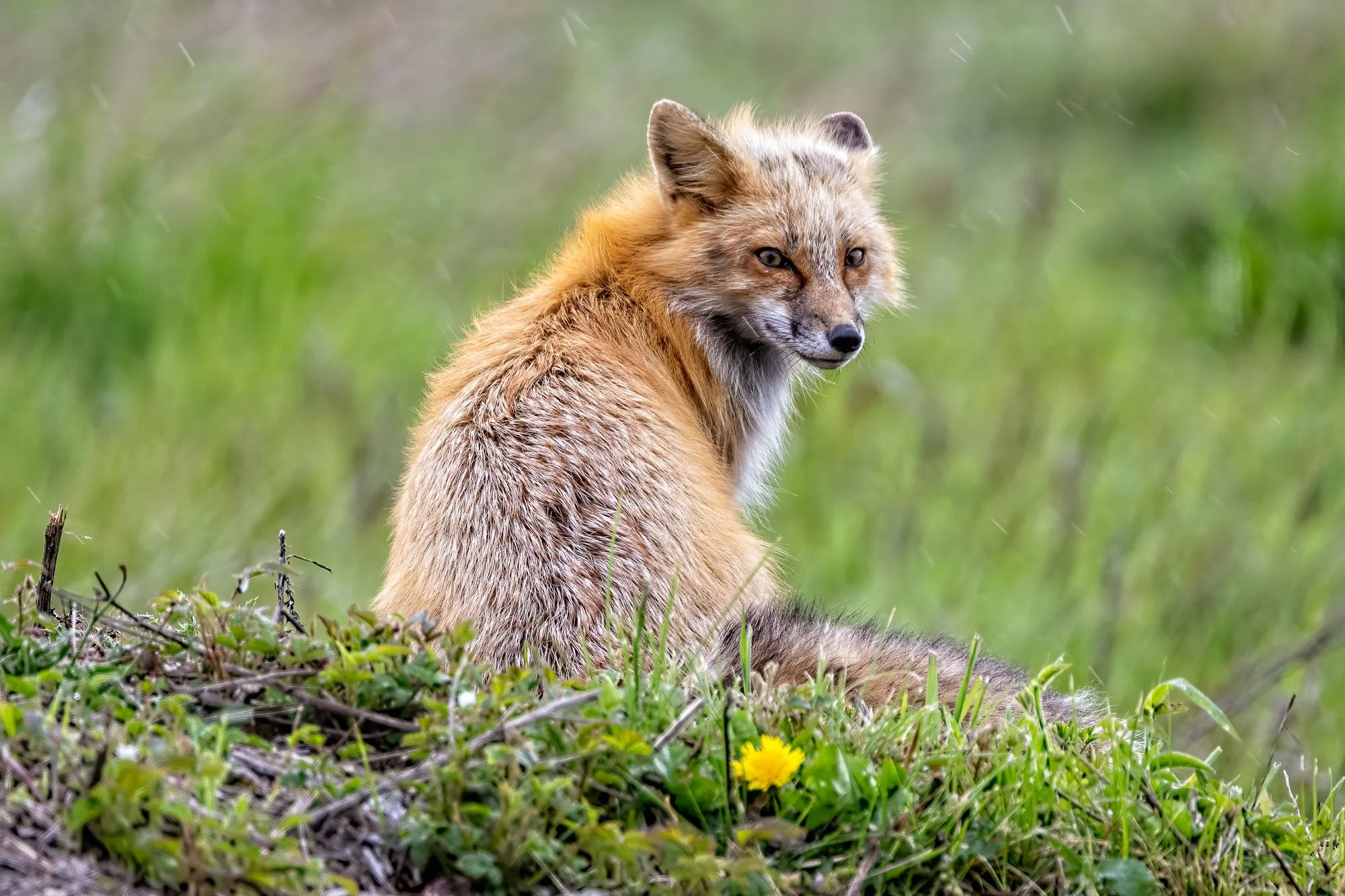 Amy Ames Photography