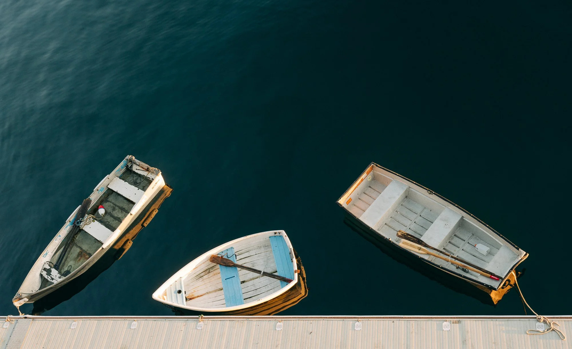 Amy Ames Photography