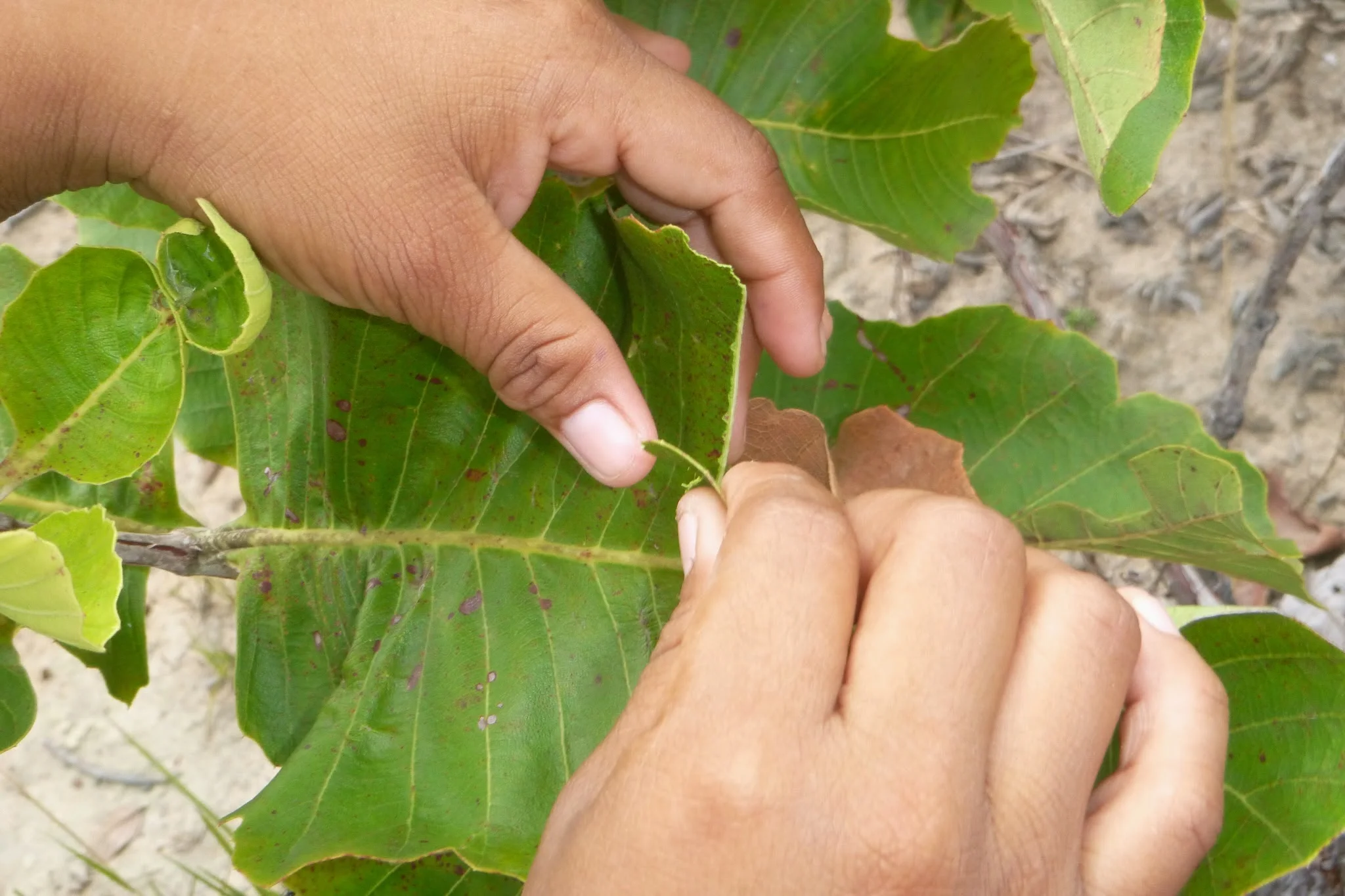 e2 education & environment