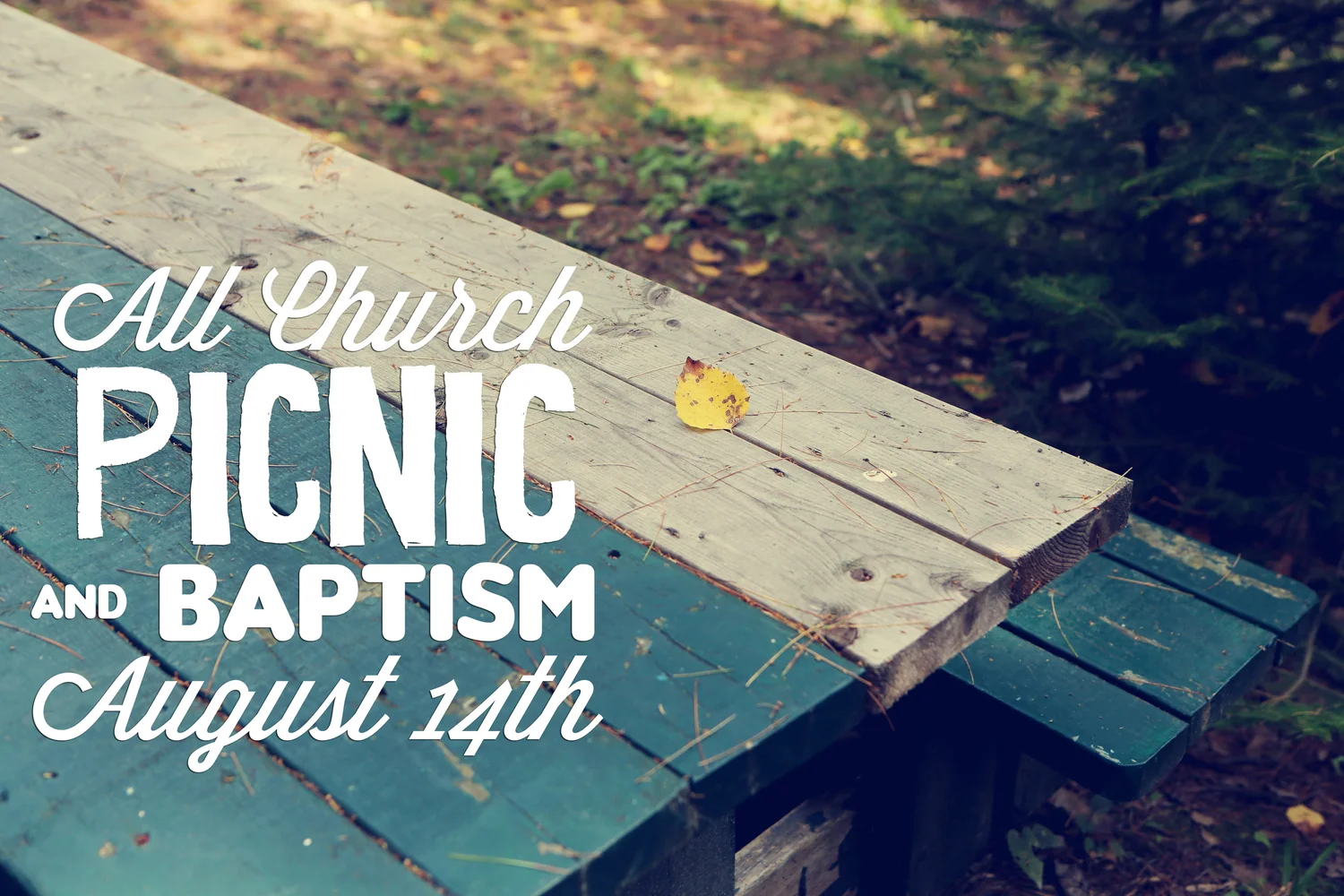 Church Picnic Background