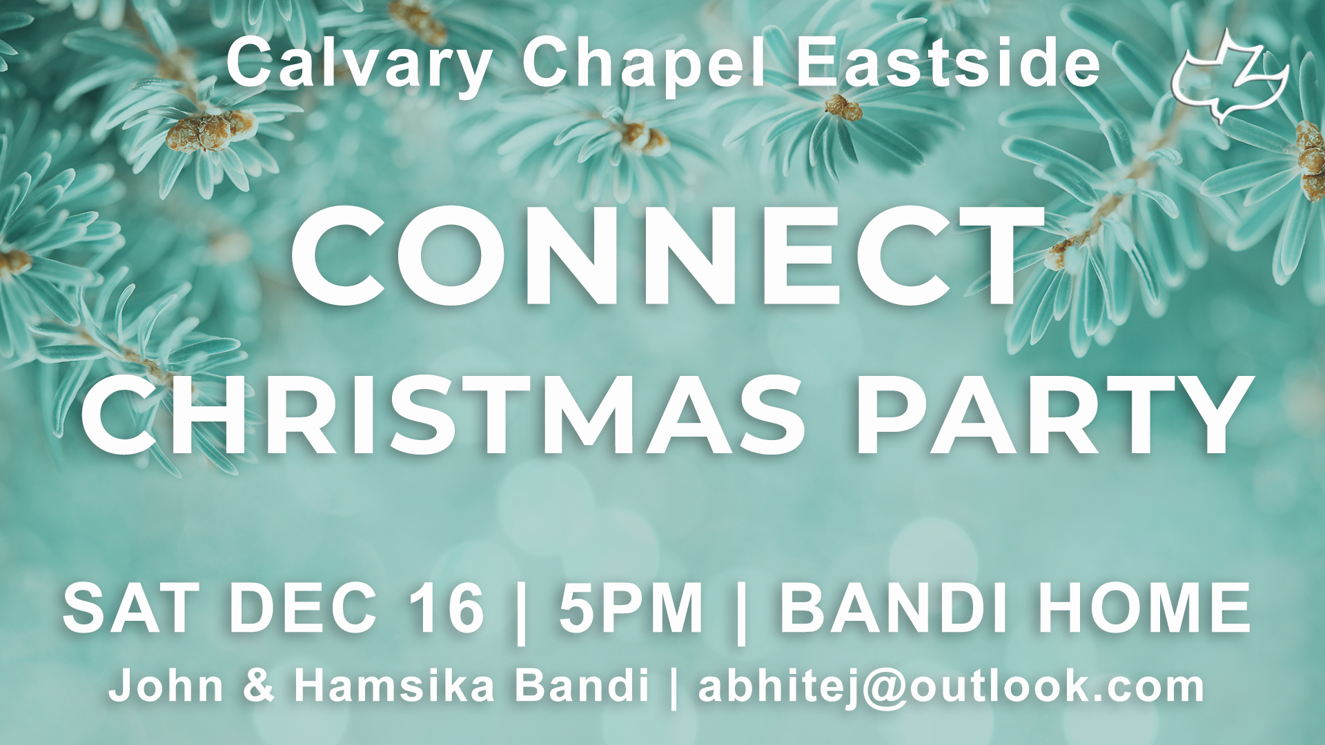 Connect Christmas Party — Calvary Chapel Eastside
