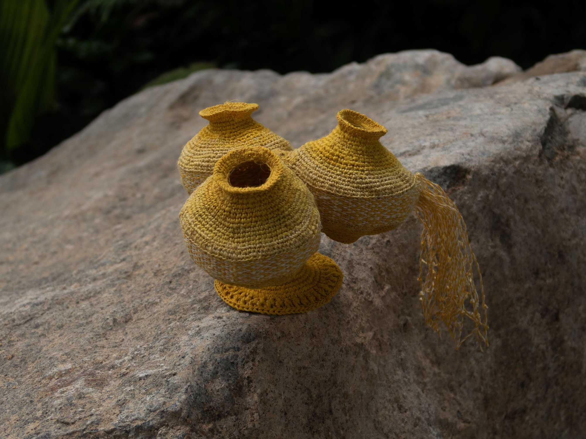 Nucleus — Kelly Jin Mei