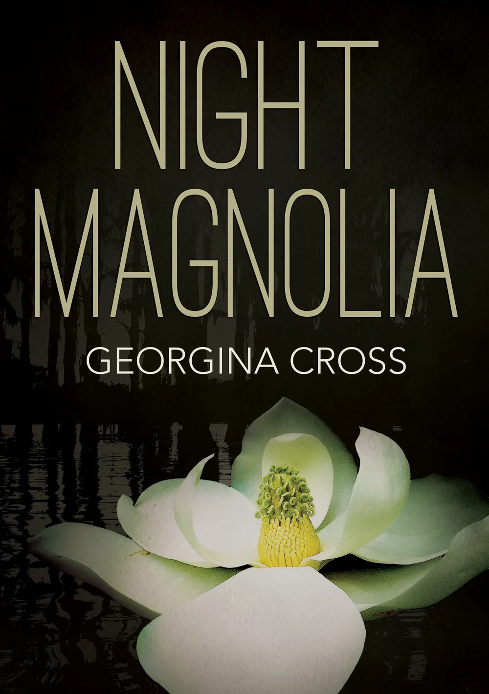 Works in Progress — Georgina Cross, Author