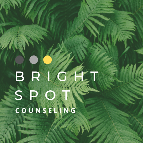 Bright Spot Counseling - Sacramento Therapy | Steve Kempster, LCSW