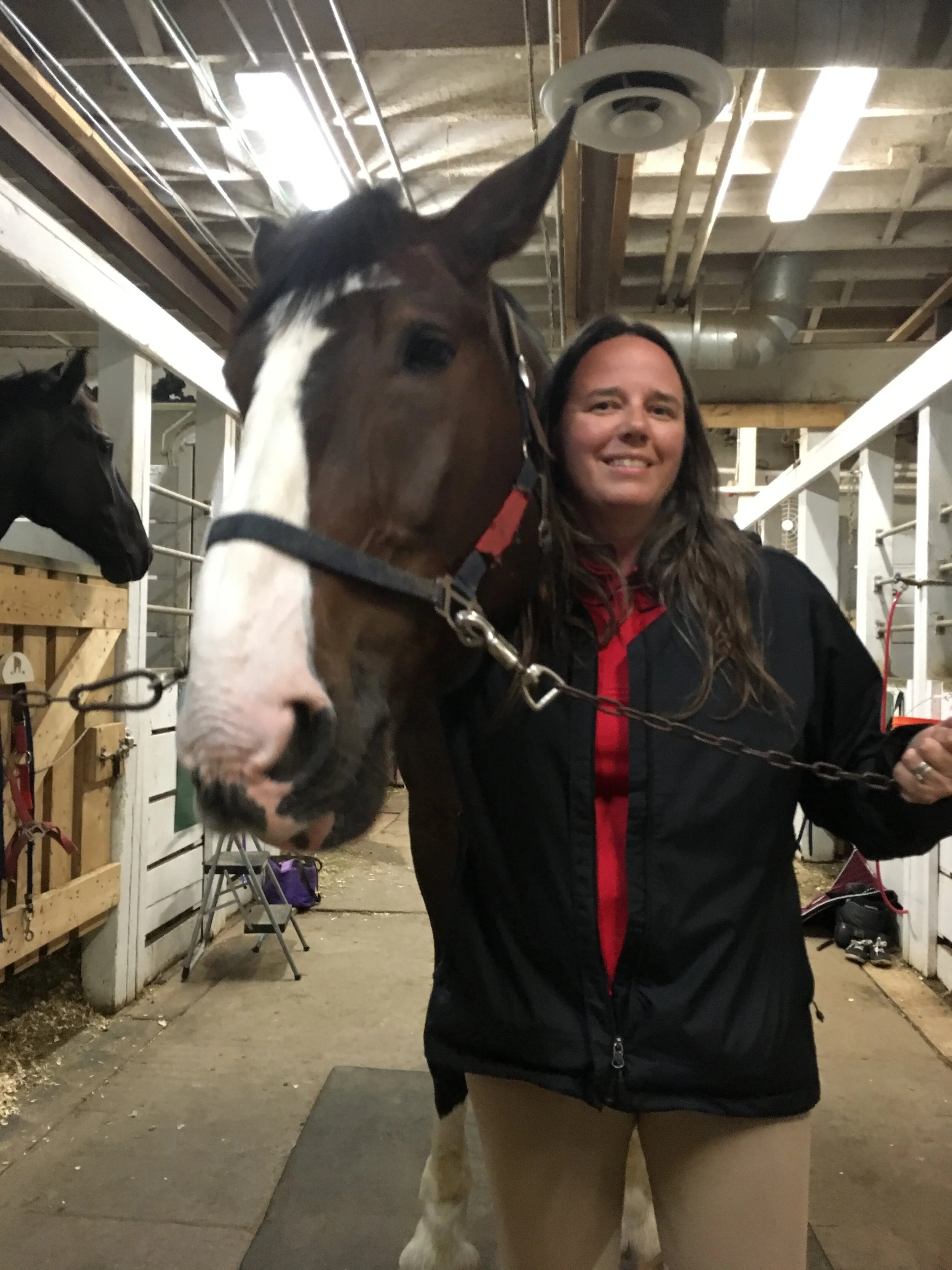 Featuring our Board of Directors — Halifax Lancers