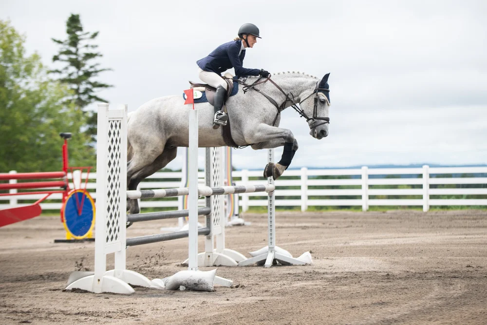 The Horses of Halifax — Halifax Lancers