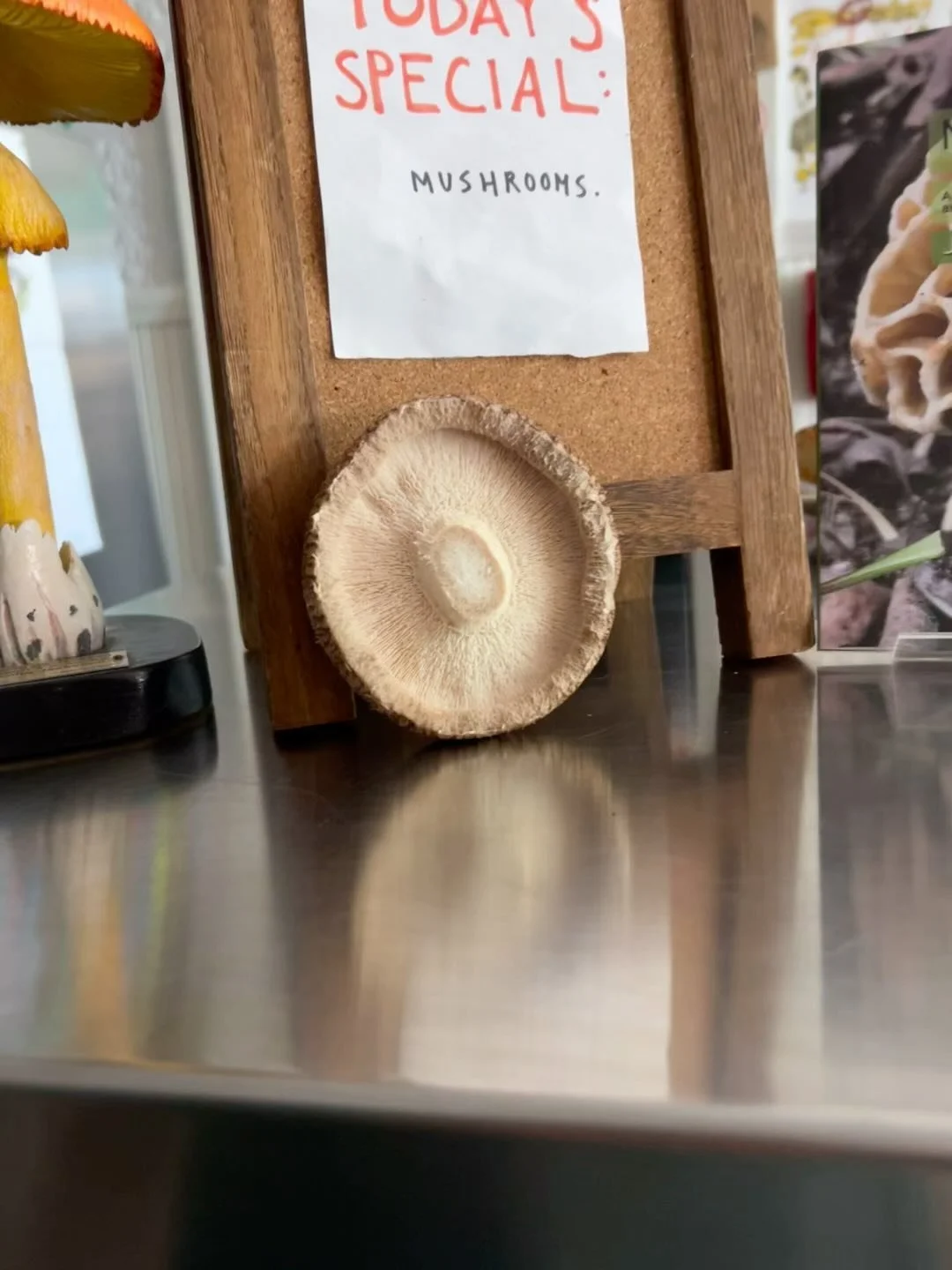 Wholesale — THE mushroom shop