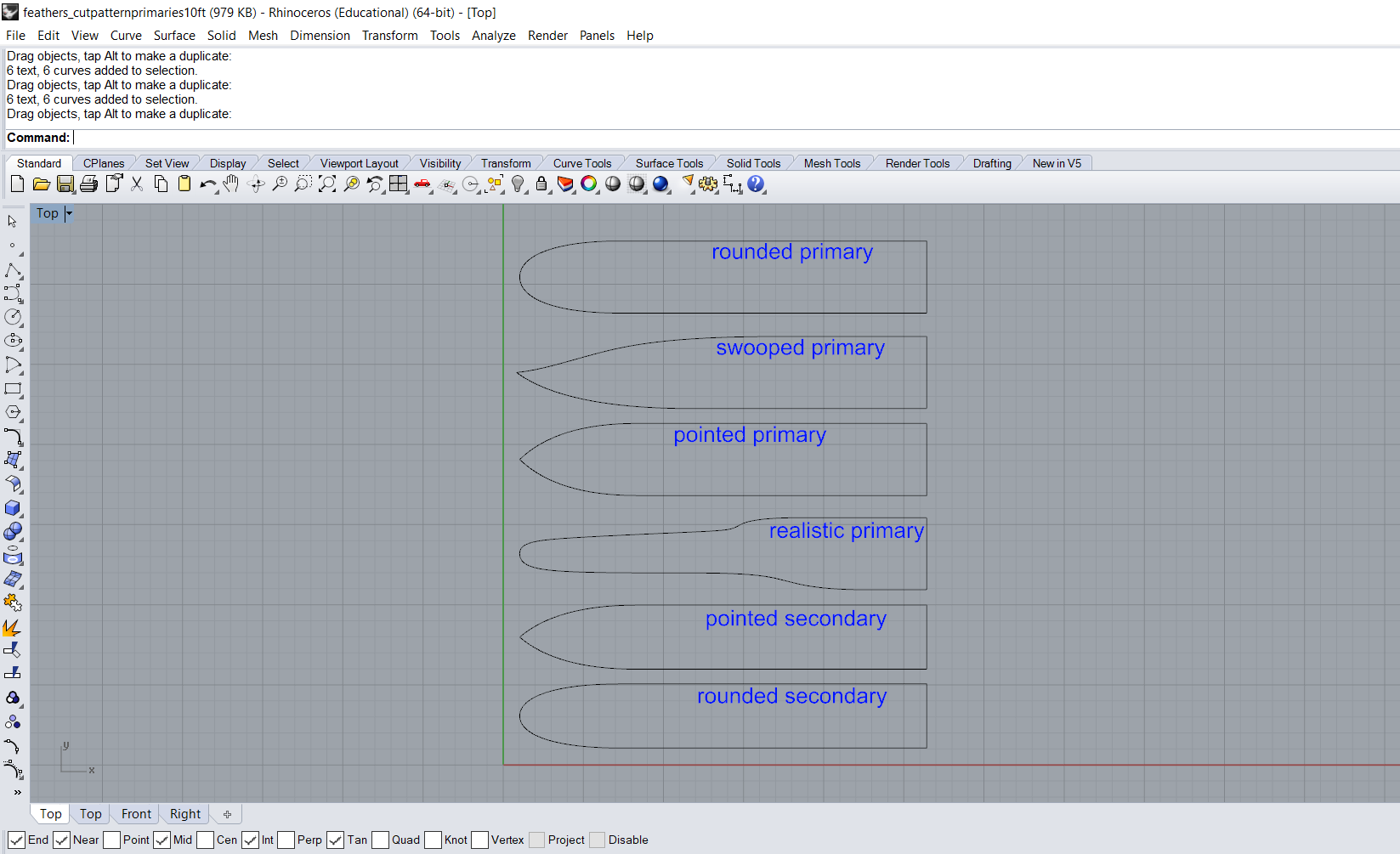 Custom Costume Wings Sales — The Crooked Feather