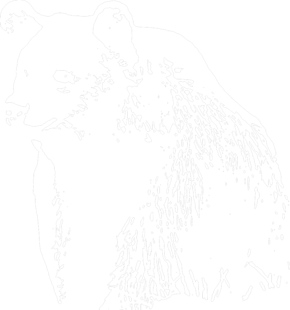 Taiga — Pittsburgh Modular Synthesizers